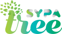 Digital Marketing Solutions | SYPA TREE